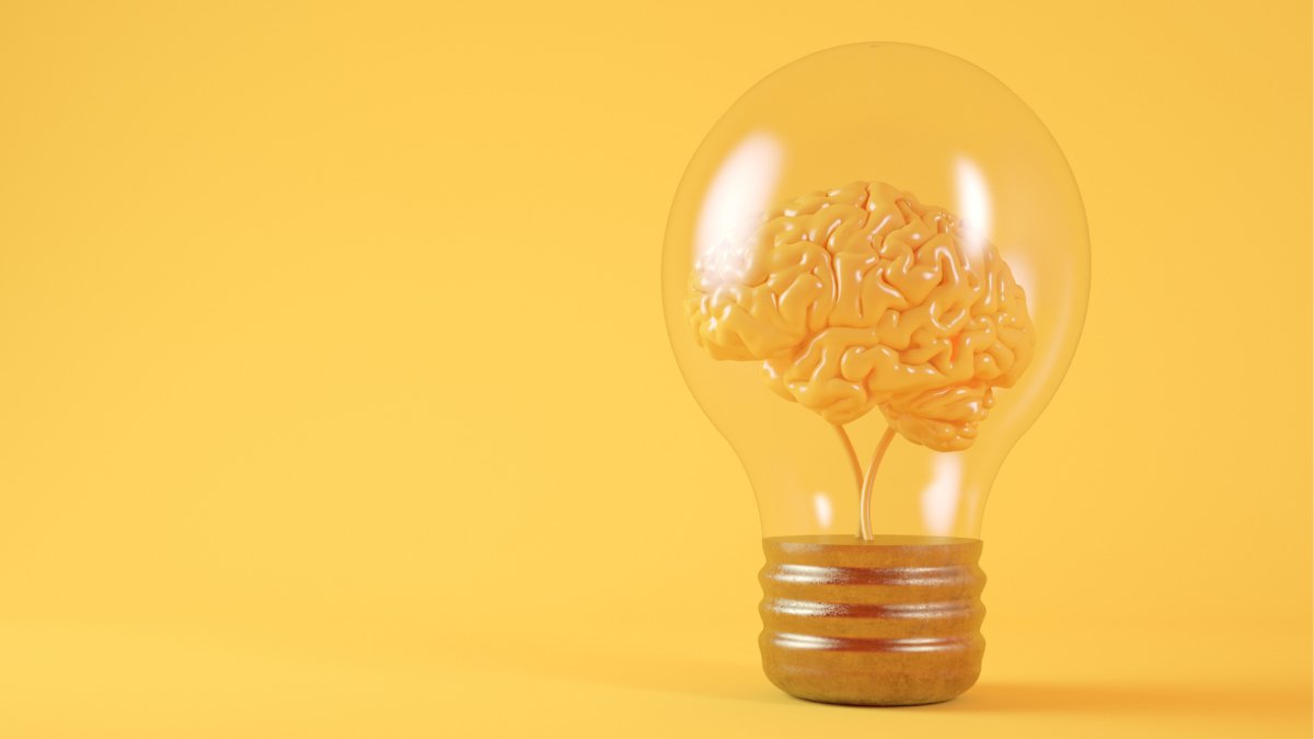 How to Train Your Mind: 12 Best Ways to Boost Your Brain