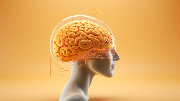 15 Ways to Practice Intellectual Self-Care and Boost Your Brain