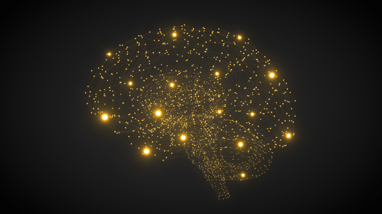 How Does the Brain Play Into Mindset?