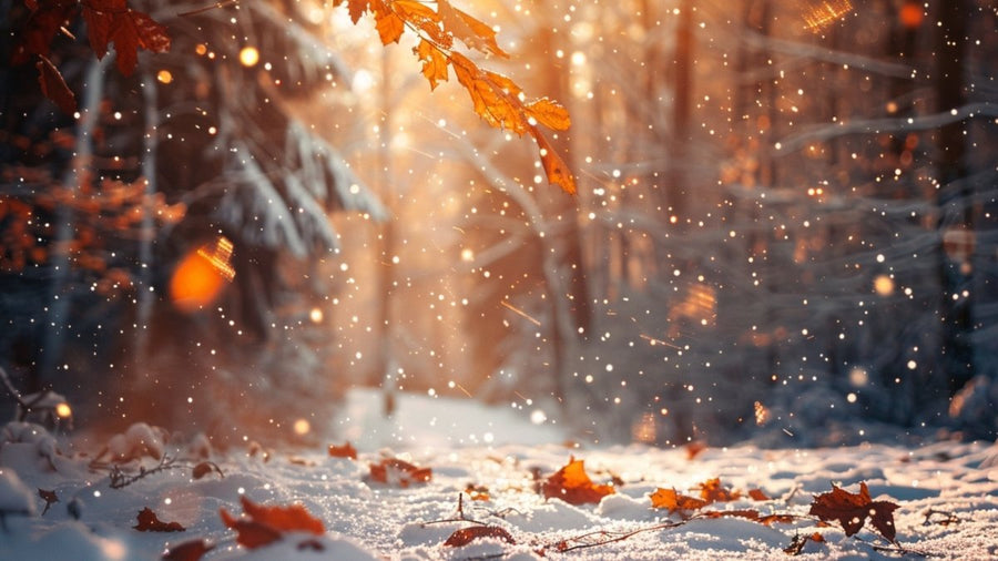 60 December Quotes to End the Year with Inspiration