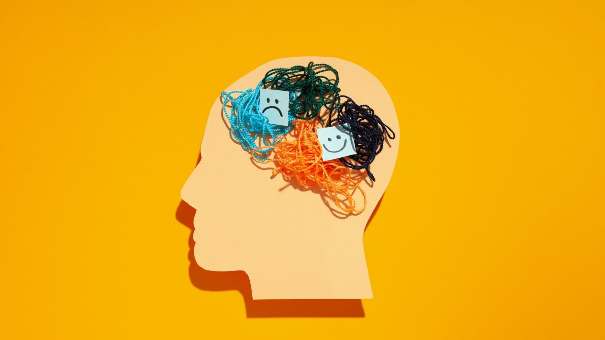 Emotional Cycle of Change: How Does it Shape Our Life?