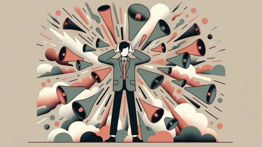 Someone Is Shouting At You: How to Respond to Anger?