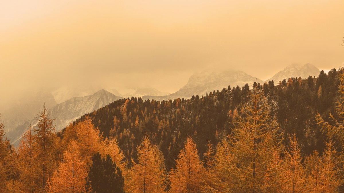 65 October Quotes to Inspire Fall Reflection & Growth